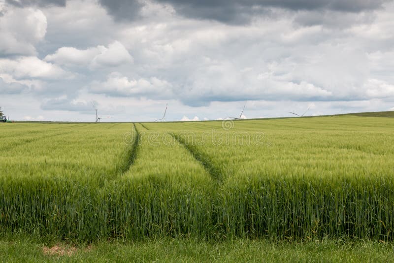 Big Grainfields in the Middle of the German Countryside with Hills ...