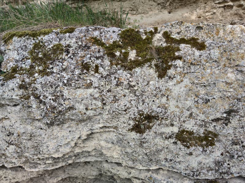 Big Gray Stone with Brown Moss. Stock Photo - Image of background, gray ...