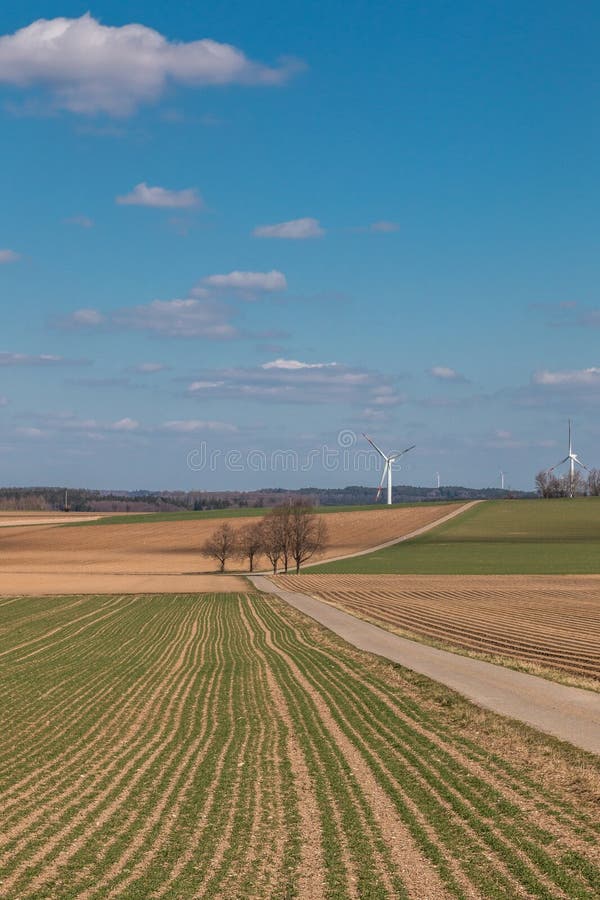 Big Green Fields of Fertile Soil and Green Grain and the Blue Sky with ...