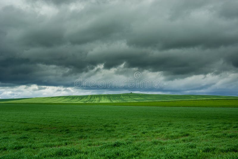 Green fields and grey sky stock image. Image of grey - 58460165