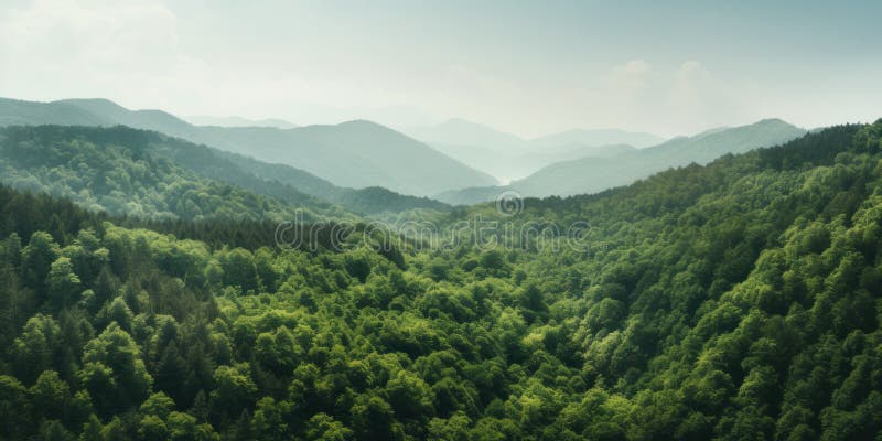 A Big Green Forest on the Side of a Mountain Stock Image - Image of ...