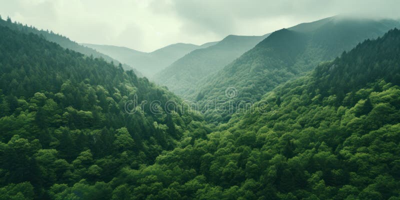 A Big Green Forest on the Side of a Mountain Stock Photo - Image of ...