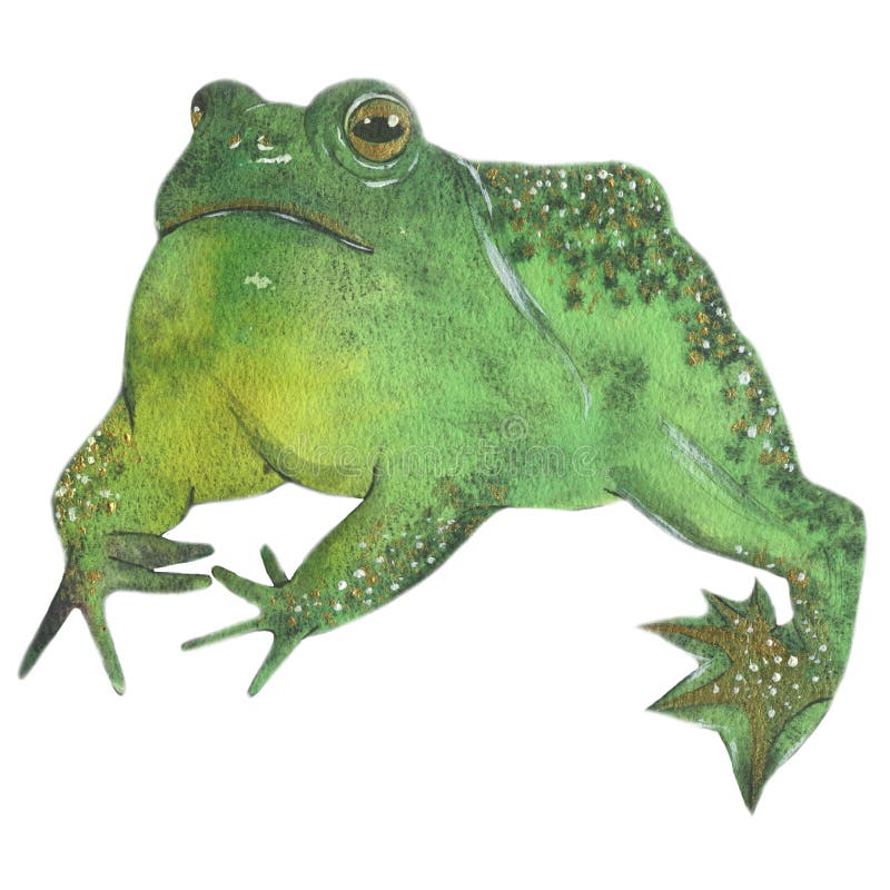 Big toad. Fantasy art. stock illustration. Illustration of element ...