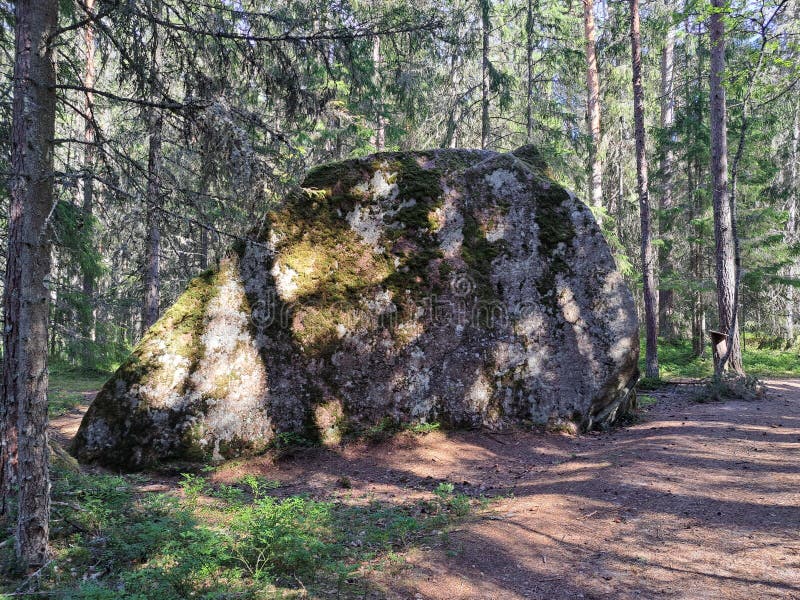 Big Grey Rock in the Forest Covered with Moss Stock Photo - Image of ...