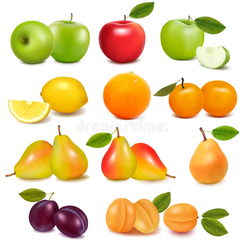 Big Group of Different Fresh Fruit. Stock Vector - Illustration of ...