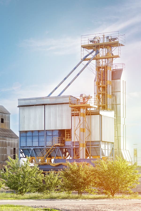 Big Group of Grain Dryers Complex for Drying Wheat. Modern Grain Silo ...