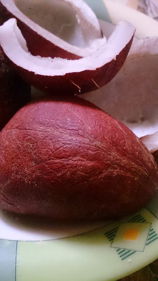 A Big and Hard Coconut Use in the Food Stock Image - Image of food ...
