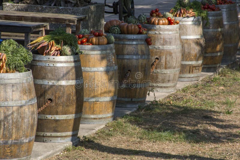 Big Harvest of Different Vegetables on the Barrels Stock Photo - Image ...
