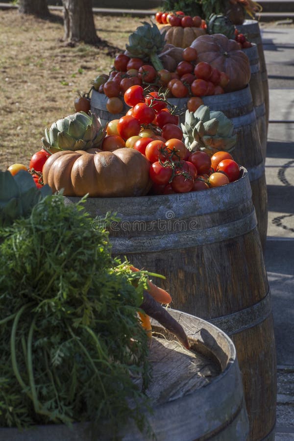 Big Harvest of Vegetables on the Barrels Stock Photo - Image of barrels ...