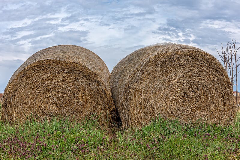 A Big Hay Bale on a Farm. Hay Bales on the Field after Harvest Stock ...