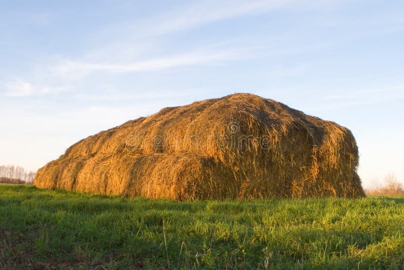 Big haystack stock photo. Image of heap, nature, reap - 6988558