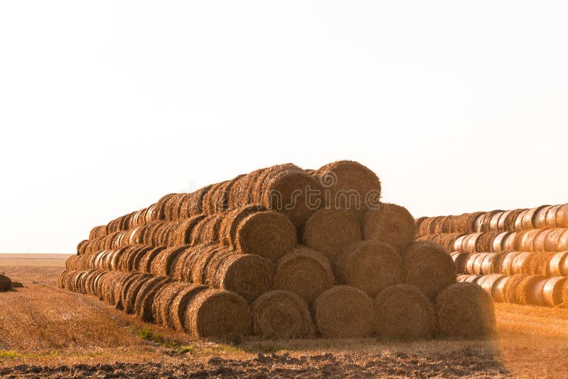Big haystack at field stock image. Image of meadow, hayrick - 32820129