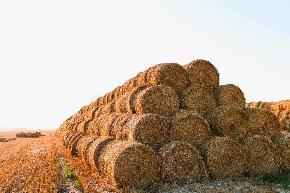 Big haystack at field stock image. Image of field, forage - 32820179