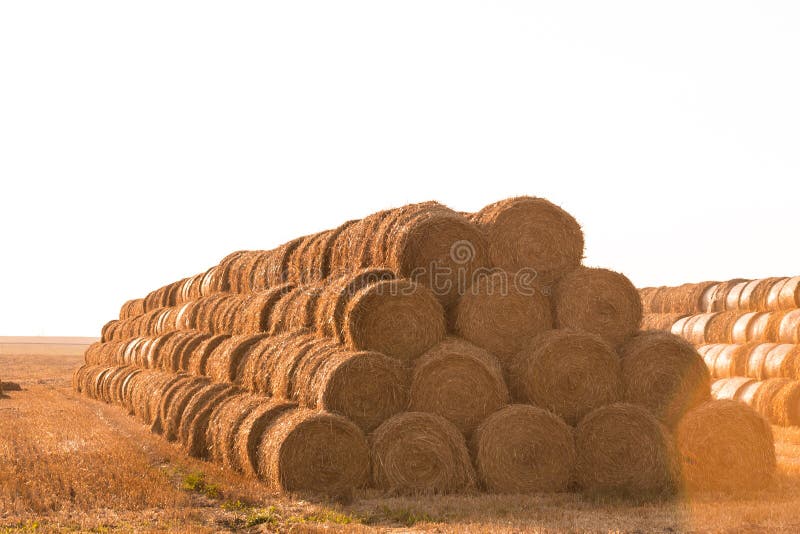Big haystack at field stock image. Image of field, forage - 32820179