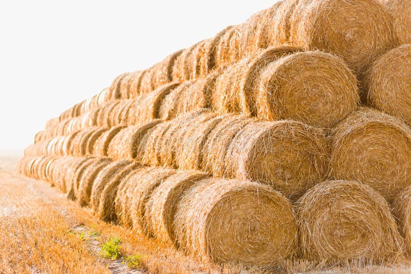 Big haystack at field stock image. Image of herb, grain - 32822533
