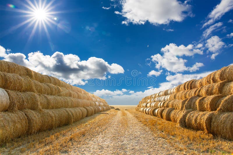 Big haystack at field stock photo. Image of agricultural - 26532638
