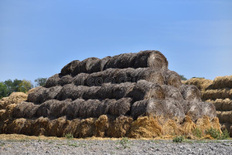 Big Haystack from Old and Not Fresh Round Bales Laid in the Form of a ...