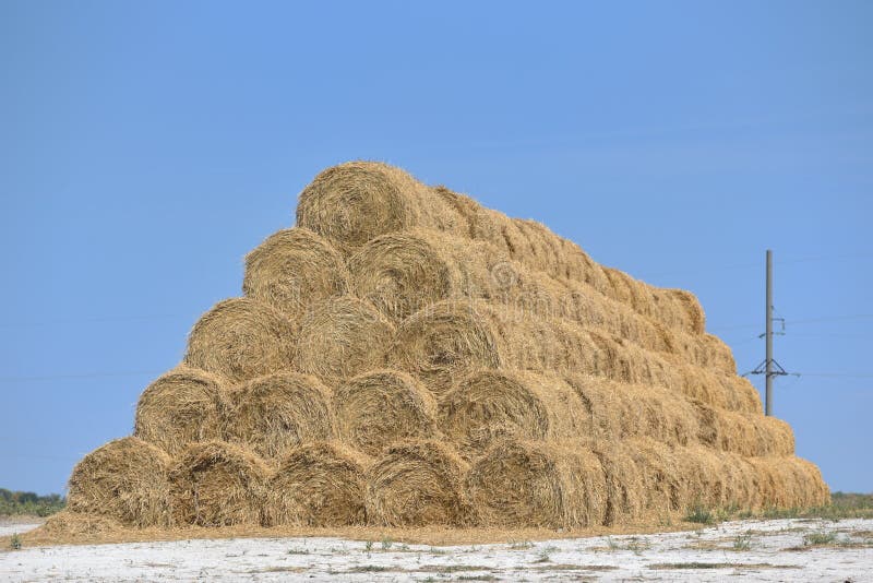 Big Haystack from Round Bales Laid in the Form of a Pyramid Against the ...