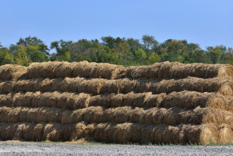 Big Haystack from Round Bales Laid in the Form of a Pyramid Against the ...