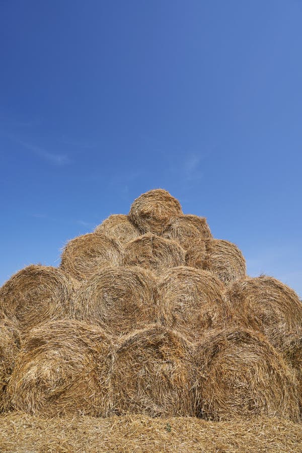 Big Haystack from Round Bales Laid in the Form of a Pyramid Against the ...