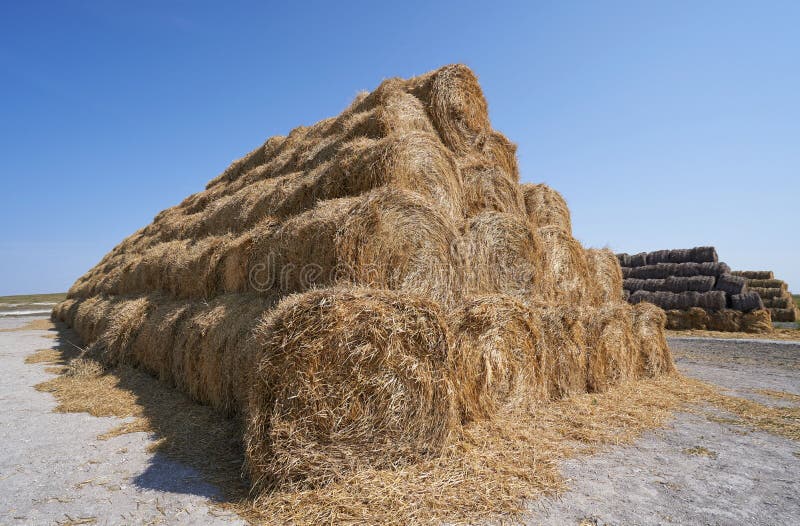 Haystack in the Form of a Rectangle Stock Image - Image of crop ...