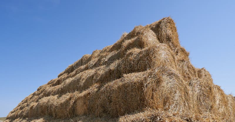 Big Haystack from Round Bales Laid in the Form of a Pyramid Against the ...