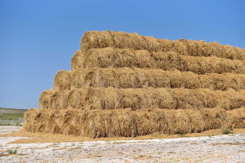 Haystack in the Form of a Rectangle Stock Image - Image of crop ...