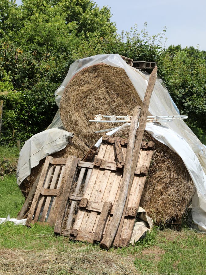 Big Haystack with Wooden Pallets Stock Photo - Image of chaff, rural ...