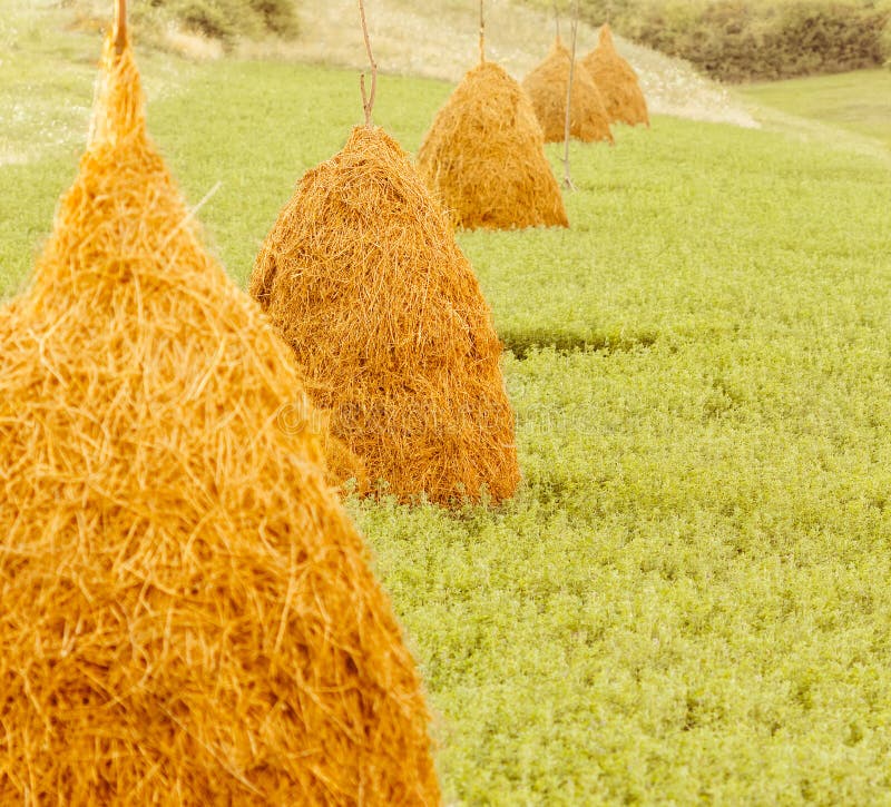 Big Haystacks on Green Grass Stock Image - Image of nature, hayfield ...