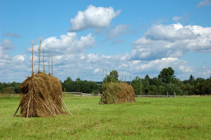 Big Haystacks on the Meadow Stock Photo - Image of blue, animal: 11927350