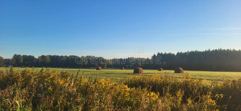 Big Haystacks on Sunny Grass Stock Photo - Image of haystacks, sunny ...