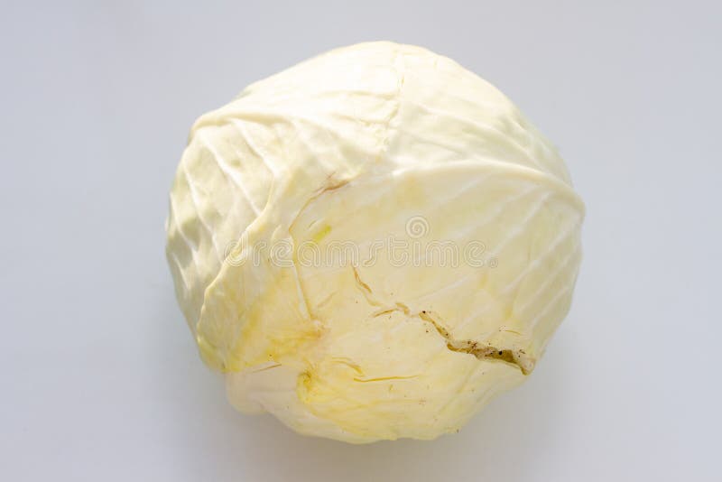 Big Head of White Cracked Root Cabbage Vegetable Stock Photo - Image of ...