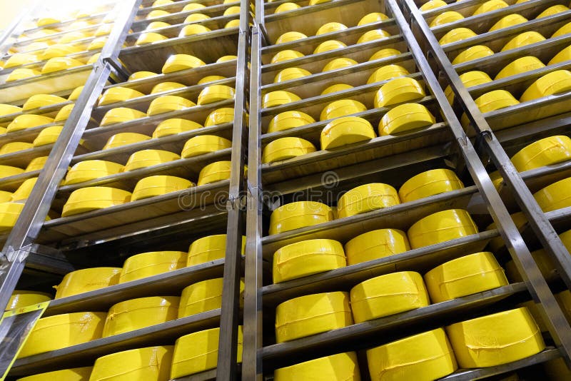 Shelves with Cheese at Cheese Storage Background Stock Photo - Image of ...