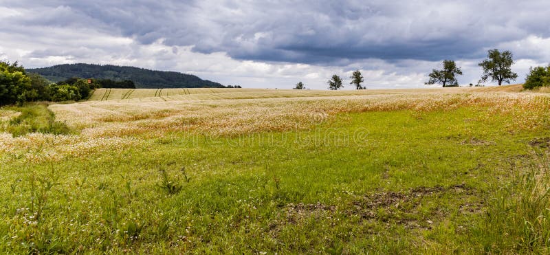 Big Hills and Fields Next To Mountain Trail in Walbrzych Mountains ...