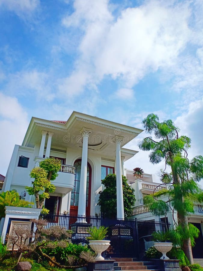 Full Decoration with Sunflowers Stock Image - Image of eixample ...