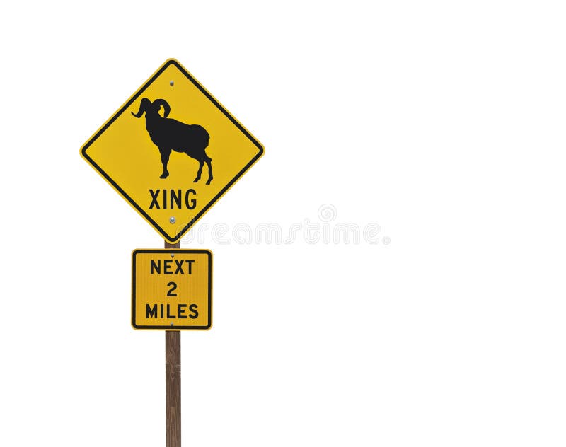 Big Horn Sheep Caution Sign Stock Photo - Image of animal, sunny: 20633006