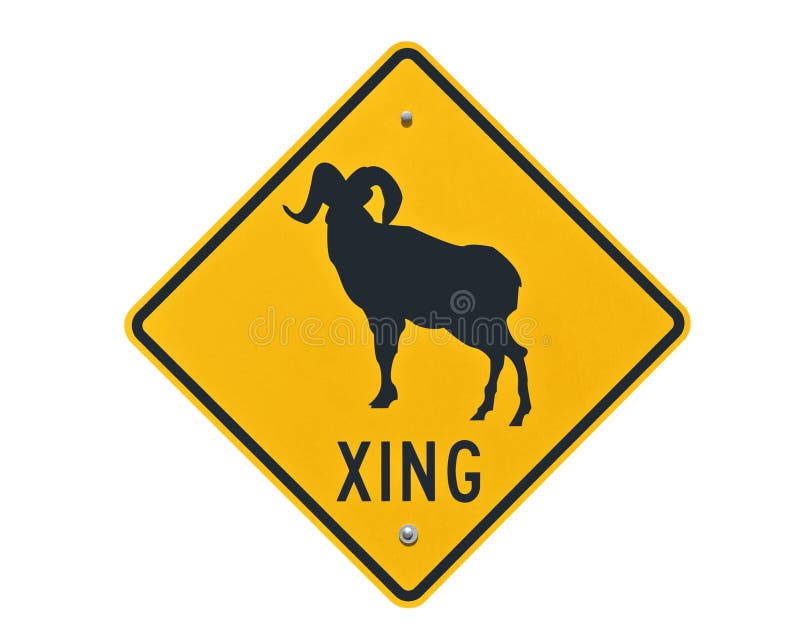 Big Horn Sheep Crossing Sign Isolated Stock Image - Image of wild ...