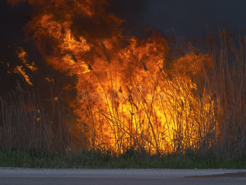 Big Huge Fire Near the Road Stock Image - Image of outdoor, black: 90738471