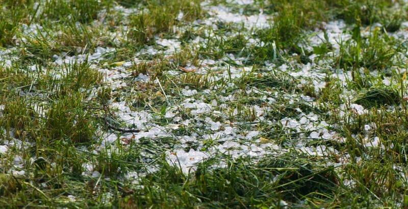 Big Ice Hail on Green Grass Stock Image - Image of insurance ...