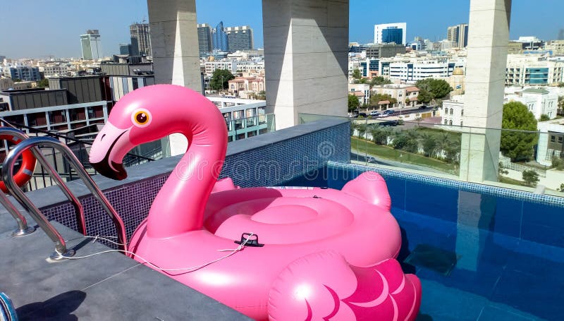 Big Inflatable Pink Flamingo in the Pool. Dubai. September 2018. Stock ...
