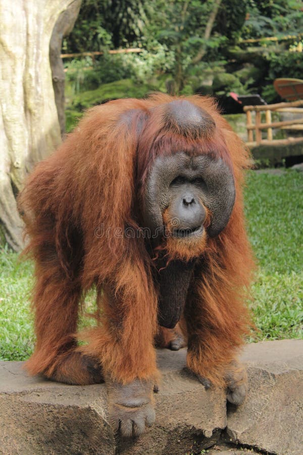 Iteract Stock Photos - Free & Royalty-Free Stock Photos from Dreamstime