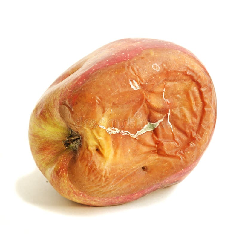 Big Inverted Rotten and Moldy Apple Isolated on White Background. Stock ...