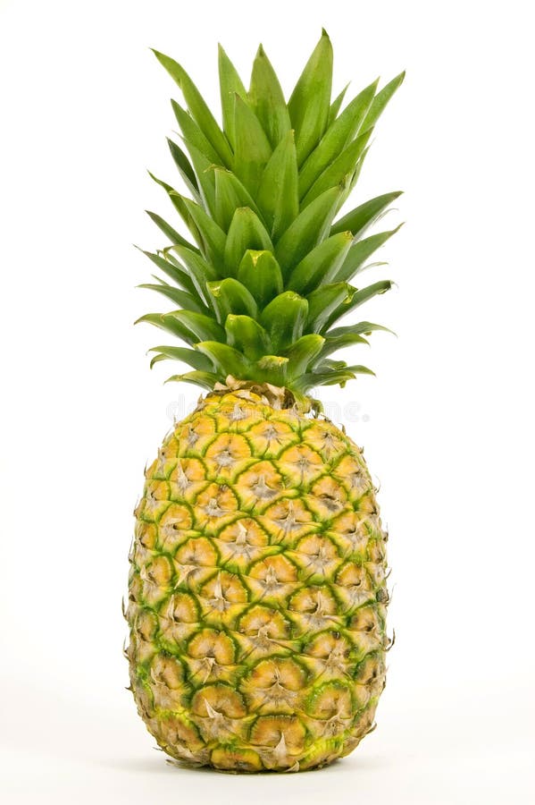 Big Juicy Pineapple Isolated on White Stock Image - Image of picked ...
