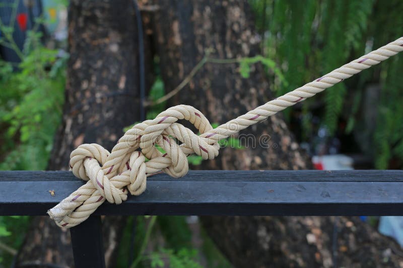 Big knot rope tie on wood stock image. Image of rough - 299846655