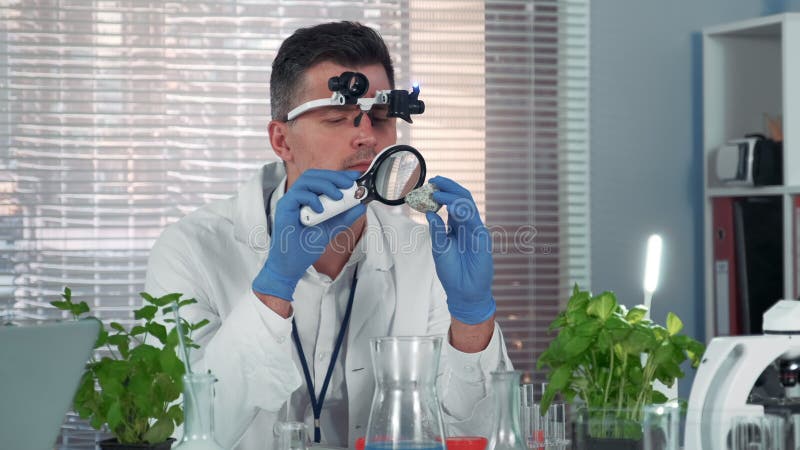 In Big Laboratory Research Scientist Studying the Stone Structure Stock ...
