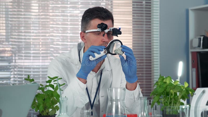 In Big Laboratory Research Scientist Studying the Stone Structure Stock ...