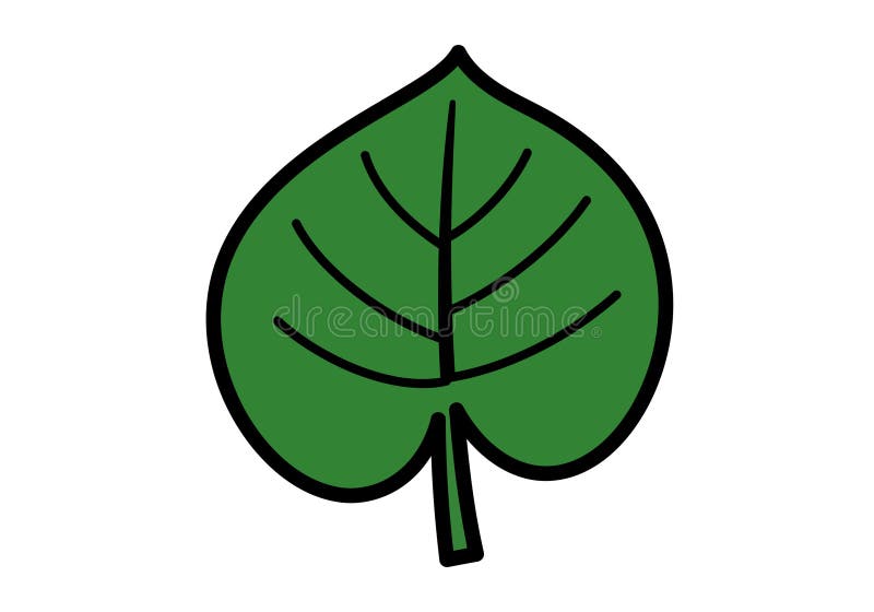 Big leaf clipart. stock illustration. Illustration of vein - 362318084