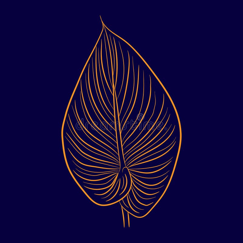 Big leaf houseplant stock vector. Illustration of element - 71315521