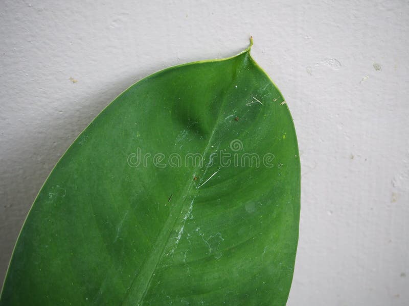 Mobile Phone Old People Big Numbers Australia Stock Photos - Free ...