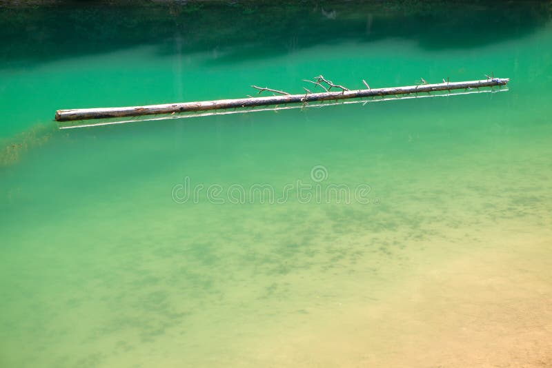 Log on the water stock image. Image of landscape, outdoor - 156481117